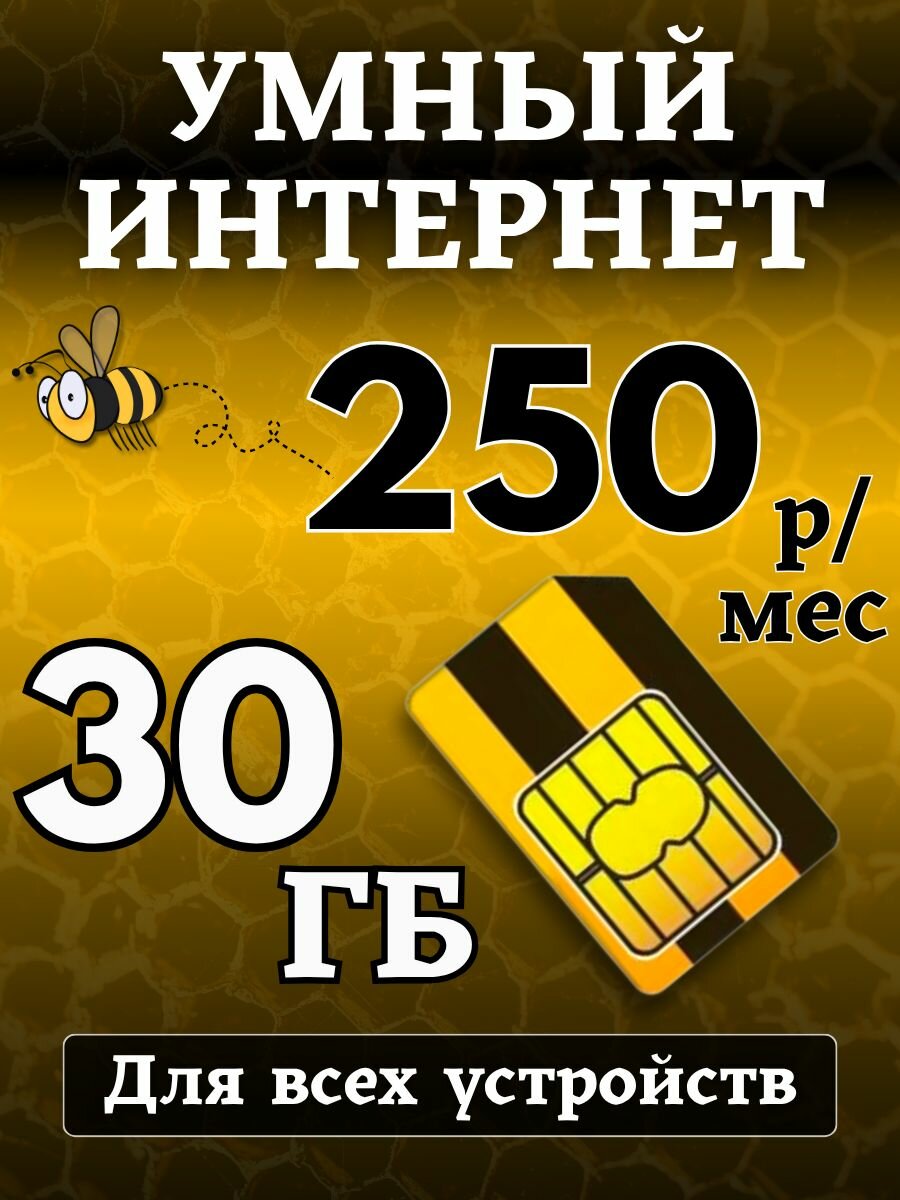 Сим-карта 30 ГБ за для видеокамеры/магнитолы за 250 в месяц