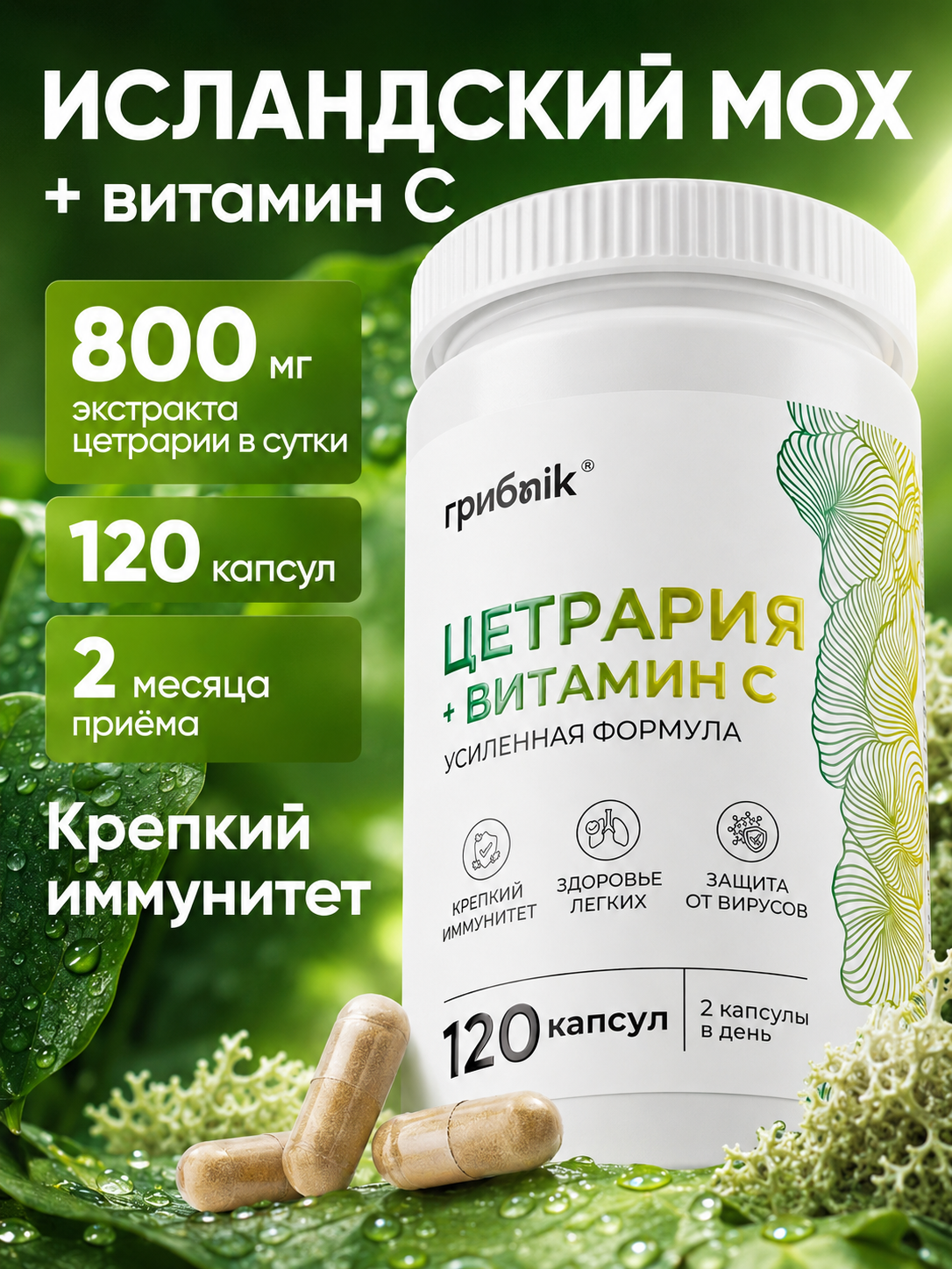 Исландский мох цетрария от кашля, исландский мох в капсулах, 120 капсул, грибnik