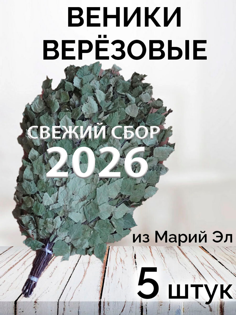 Веник березовый для бани 5 штук Марий Эл, сбор 2026 года