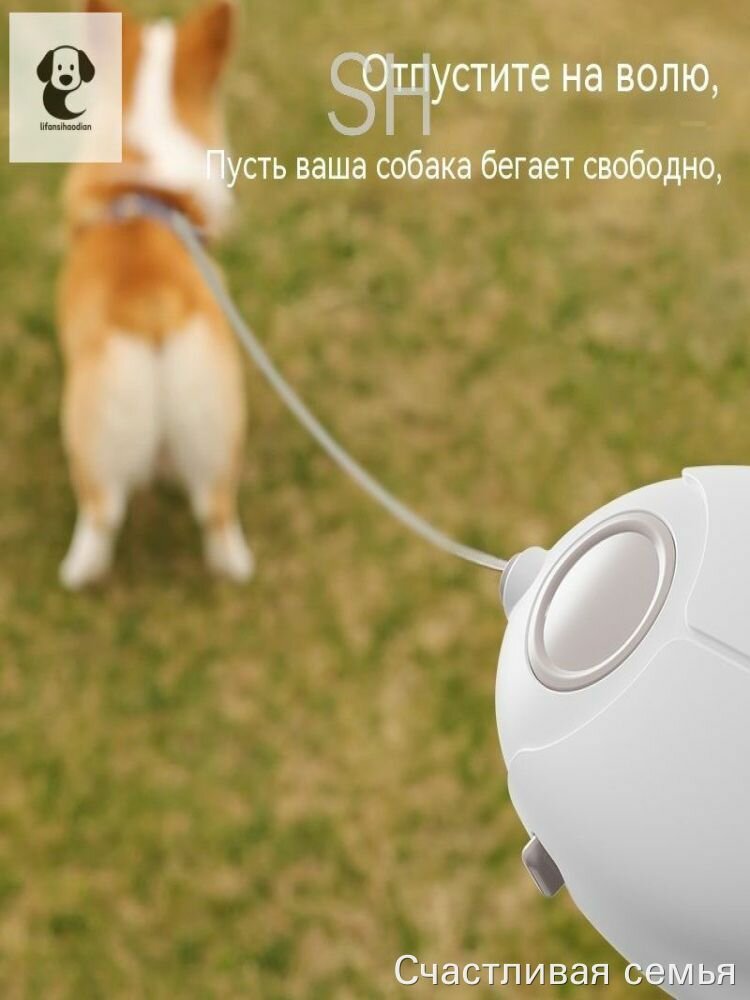 Автоматическая светящаяся рулетка для собак Светодиодный поводок-тросик для ночных прогулок Длина 3 м