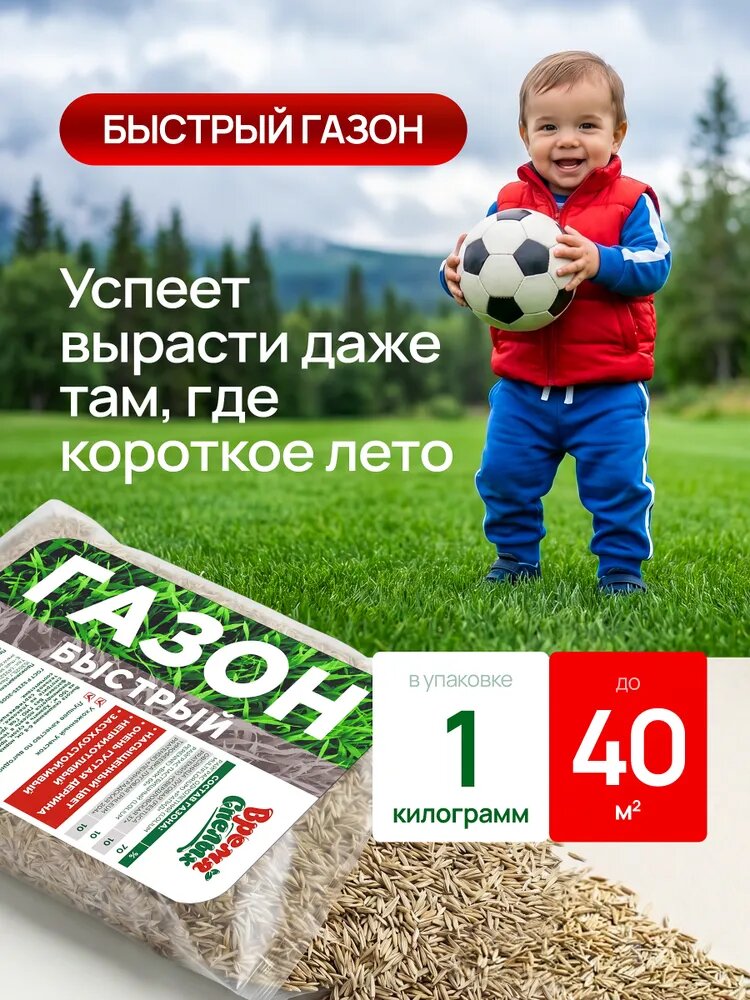Газонная трава семена низкорослый многолетний, быстрый 1 кг