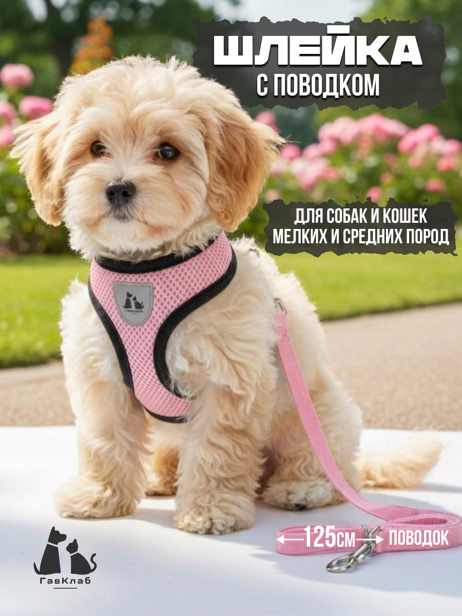Шлейка для собак, с поводком, регулируемая, светоотражающая, размер L