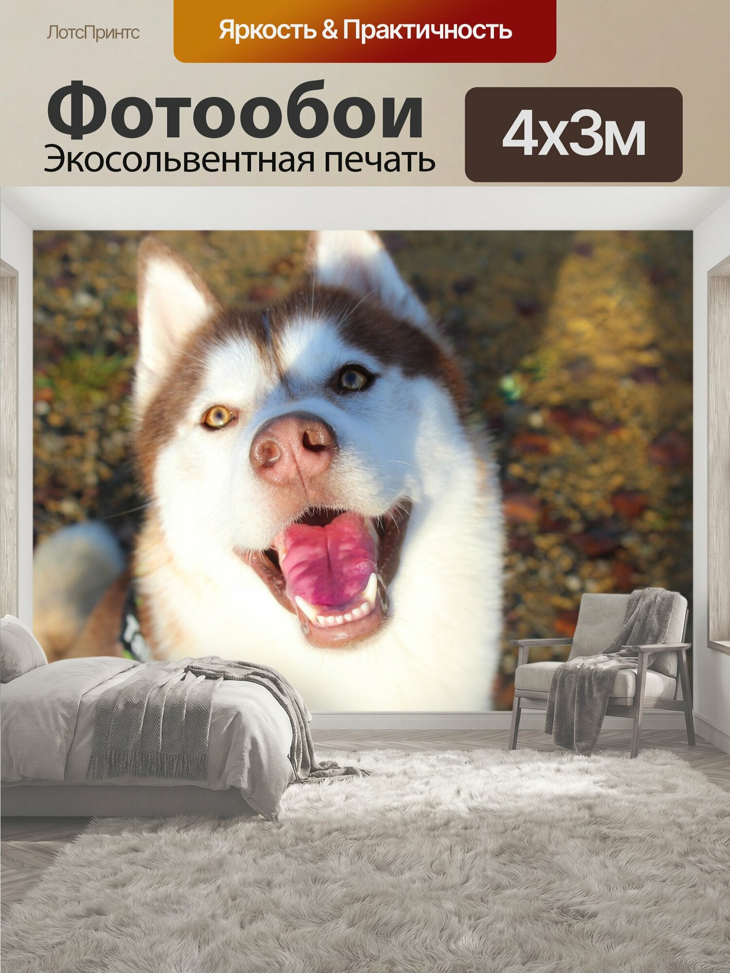 Фотообои "Хаски, шоколад, siberien" 400x300 см. экосольвентная печать