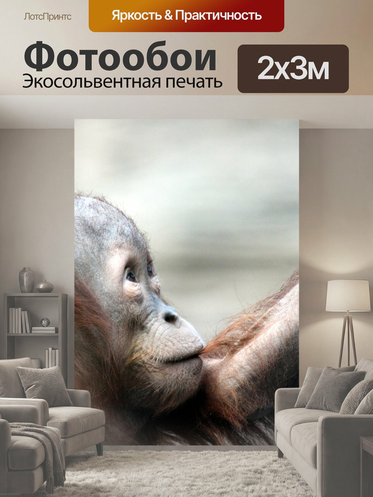 Фотообои "Орангутан, приматы, млекопитающие" 200x300 см. экосольвентная печать
