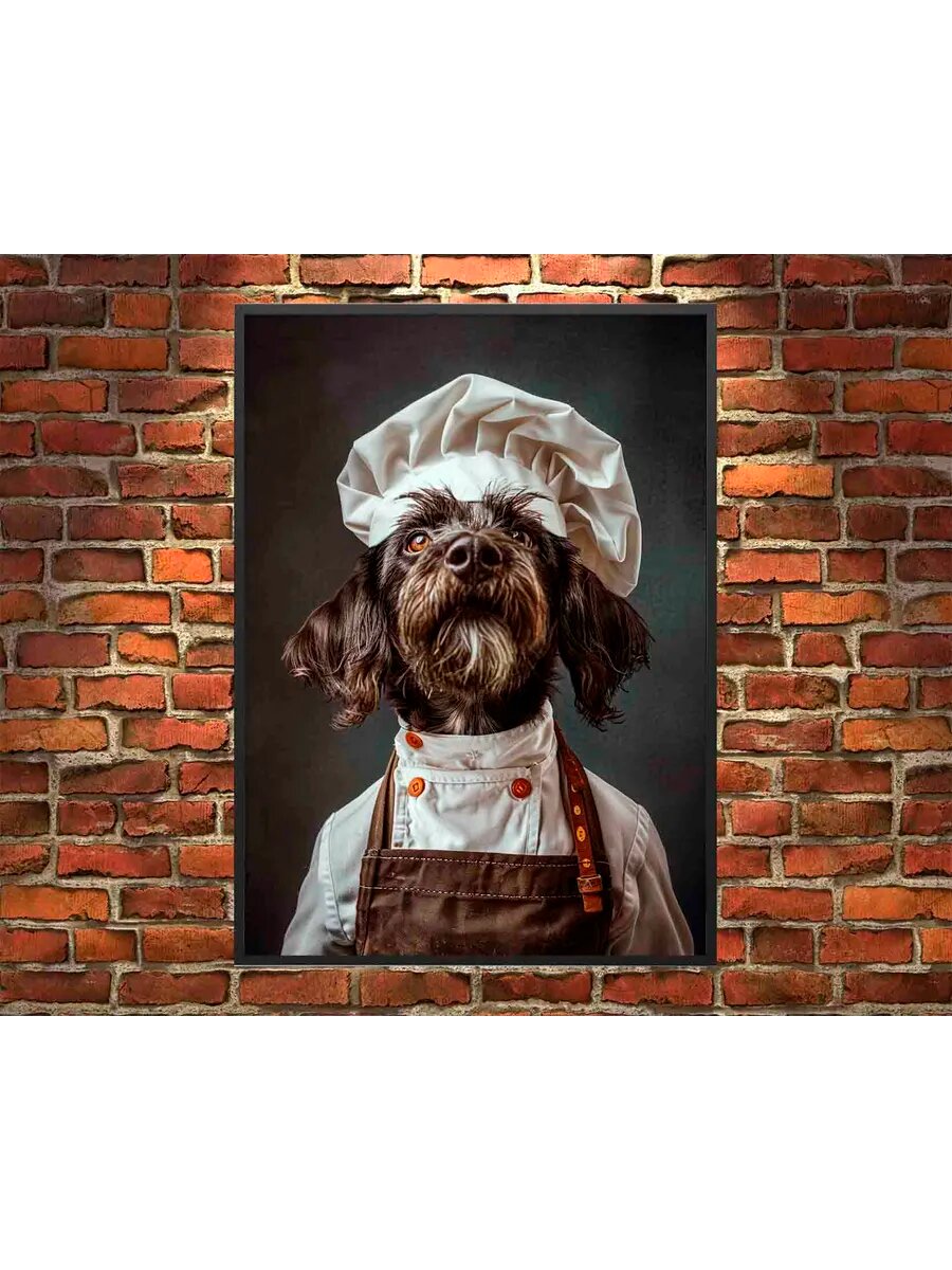 Пойнтер Немецкая жесткошерстная собака Cook 3, Плакат 30x42с