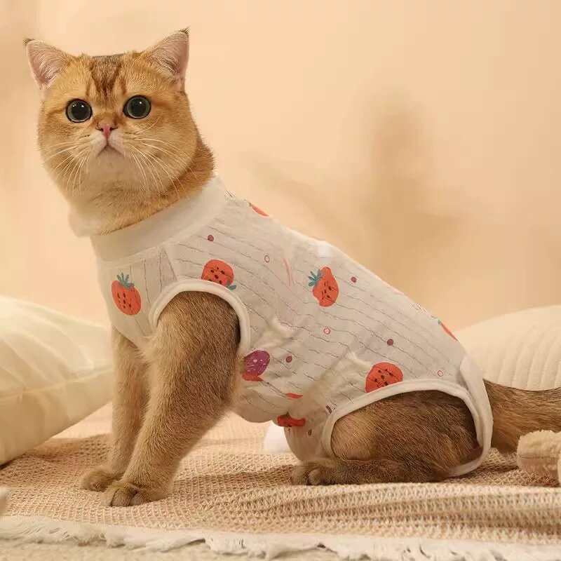 Послеоперационный костюм для кошек с клубничным принтом и боковыми ремешками, размер L (обхват груди 44 см)