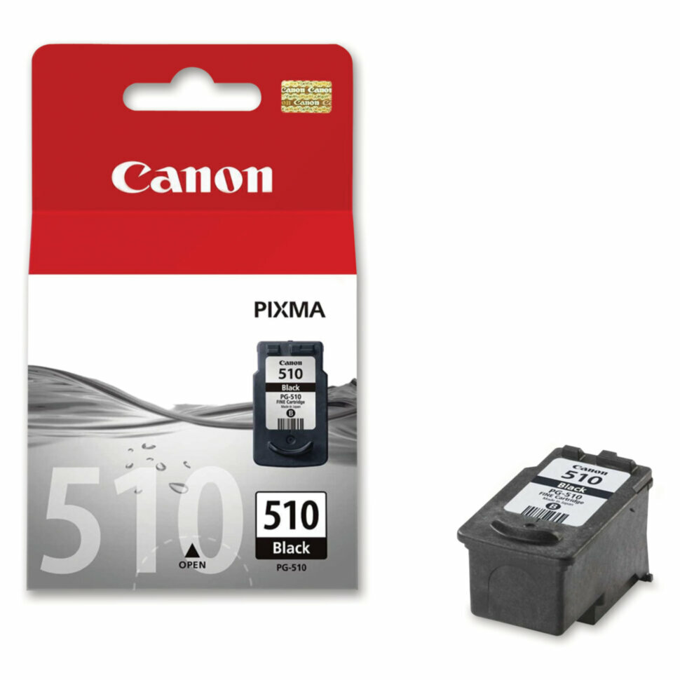 Картридж струйный CANON (PG-510) Pixma MP240/MP260/MP480, черный, оригинальный, ресурс 220 страниц, 2970B007, 360990