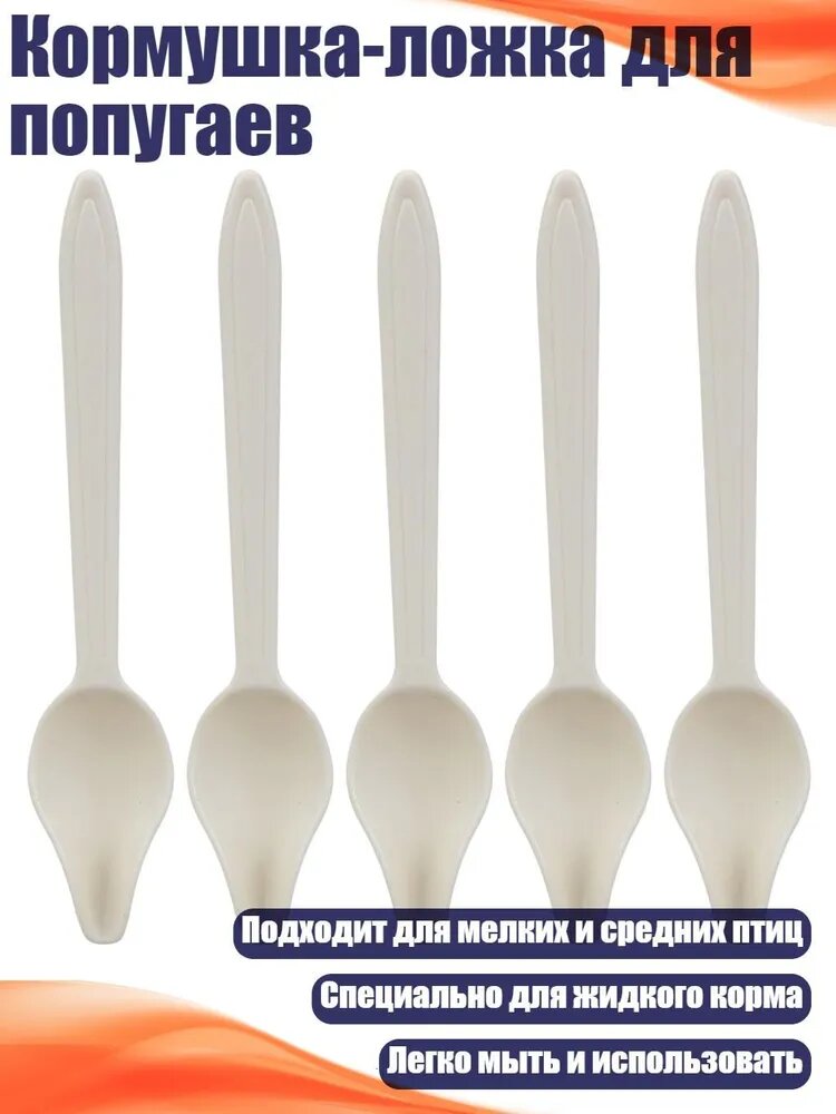Кормушка-ложка для попугаев, - 5