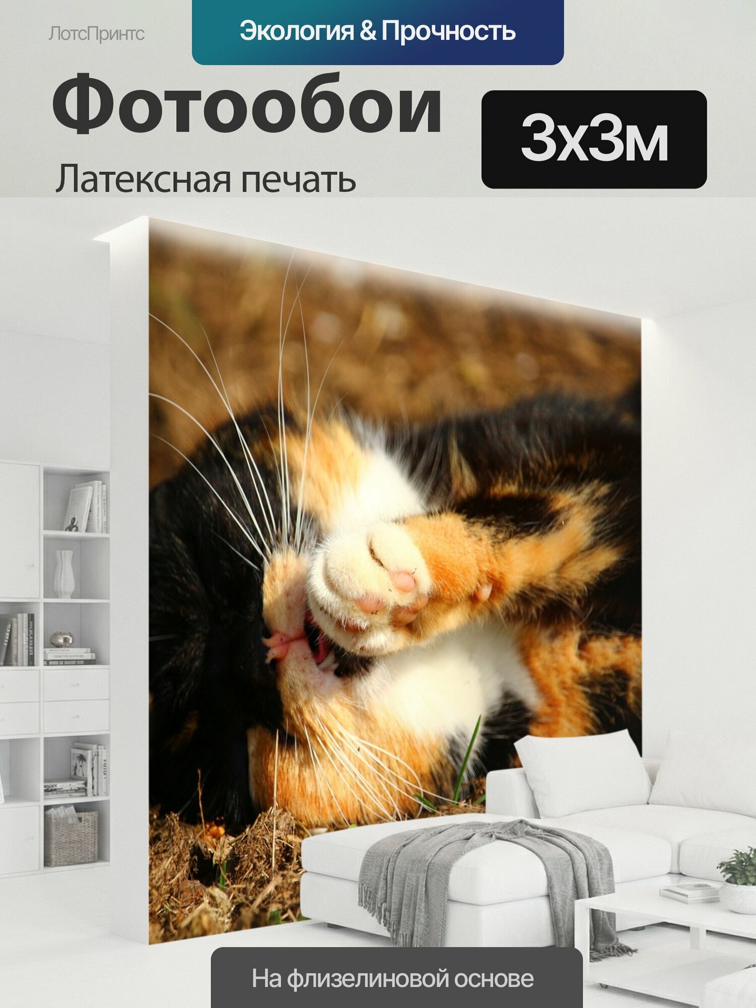 Фотообои моющиеся ударопрочные "Кот, котенок, lucky cat" 300x300 см. латексная печать