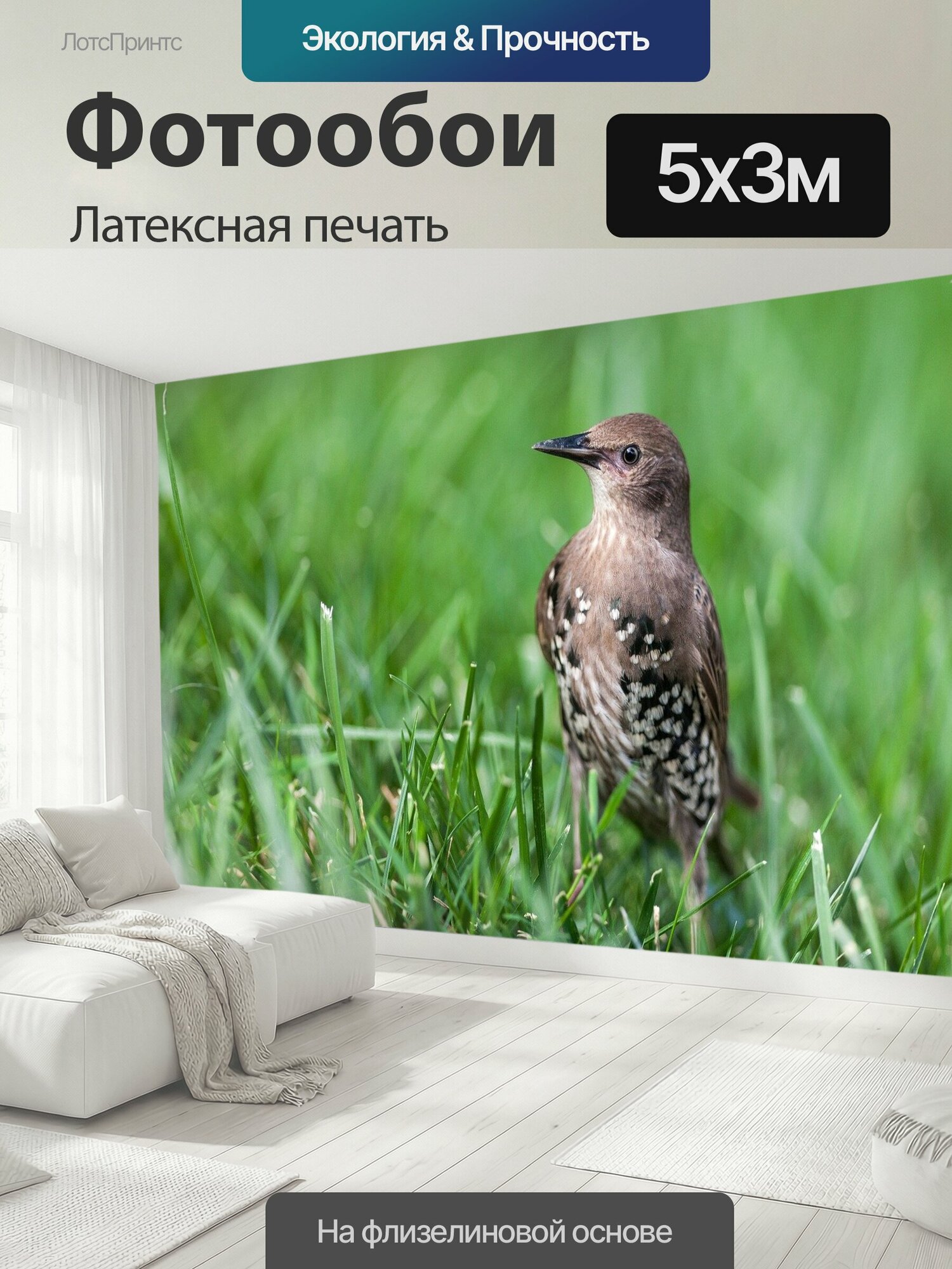 Фотообои моющиеся ударопрочные "Птица, трава, дикая природа" 500x300 см. латексная печать