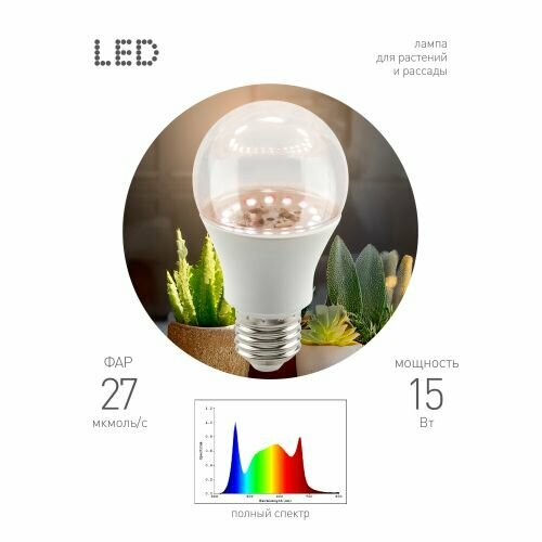 Лампа светодиодная GREEN LINE фито А60-15W-PFR-E27-GR 15Вт E27 для растений полного спектра Эра Б0064527