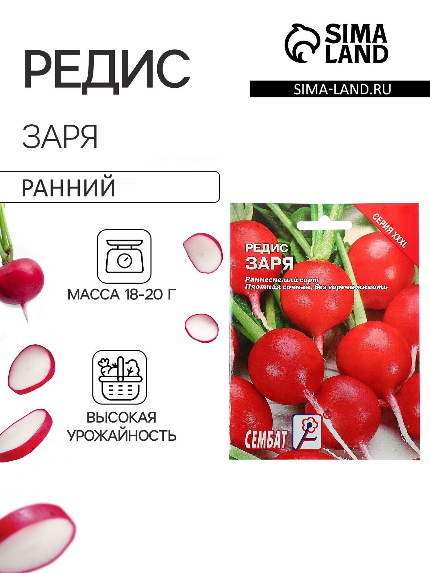 Семена Редис "Заря", XXXL, 10 г, посев (посадка) в грунт: август, 2 шт.