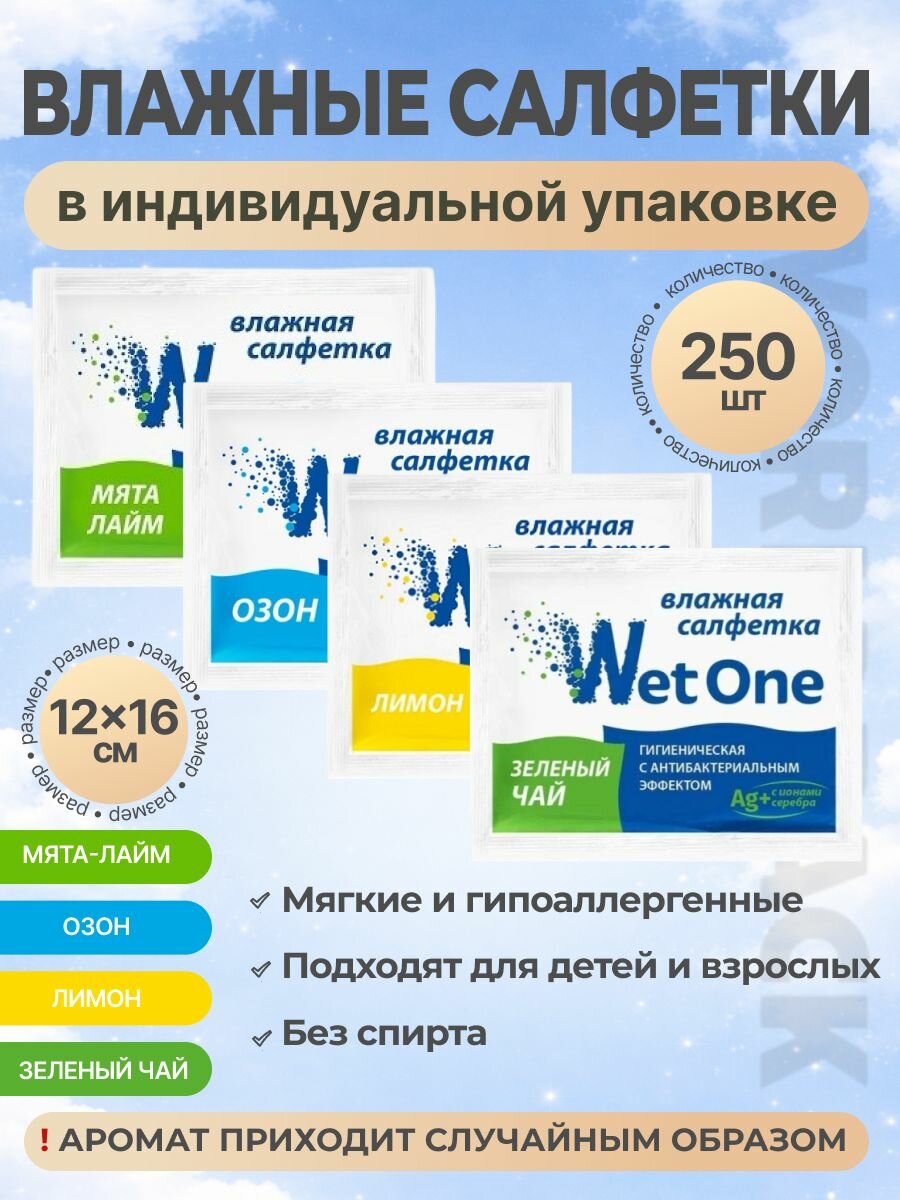 Салфетки влажные в индивидуальной упаковке Wet One 250 шт 12х16 см, салфетка влажная гигиеническая антибактериальная