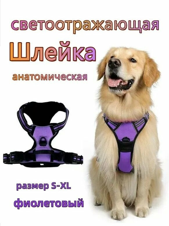 Нагрудная шлейка светоотражающая для собак мелких и средних пород, анатомическая фиолетовый/размер S