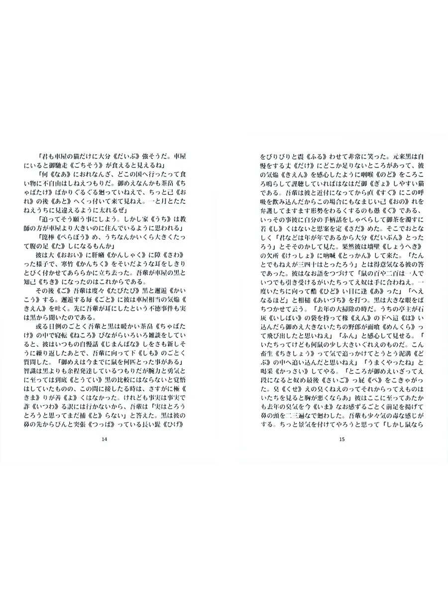 ? / Книга на Японском