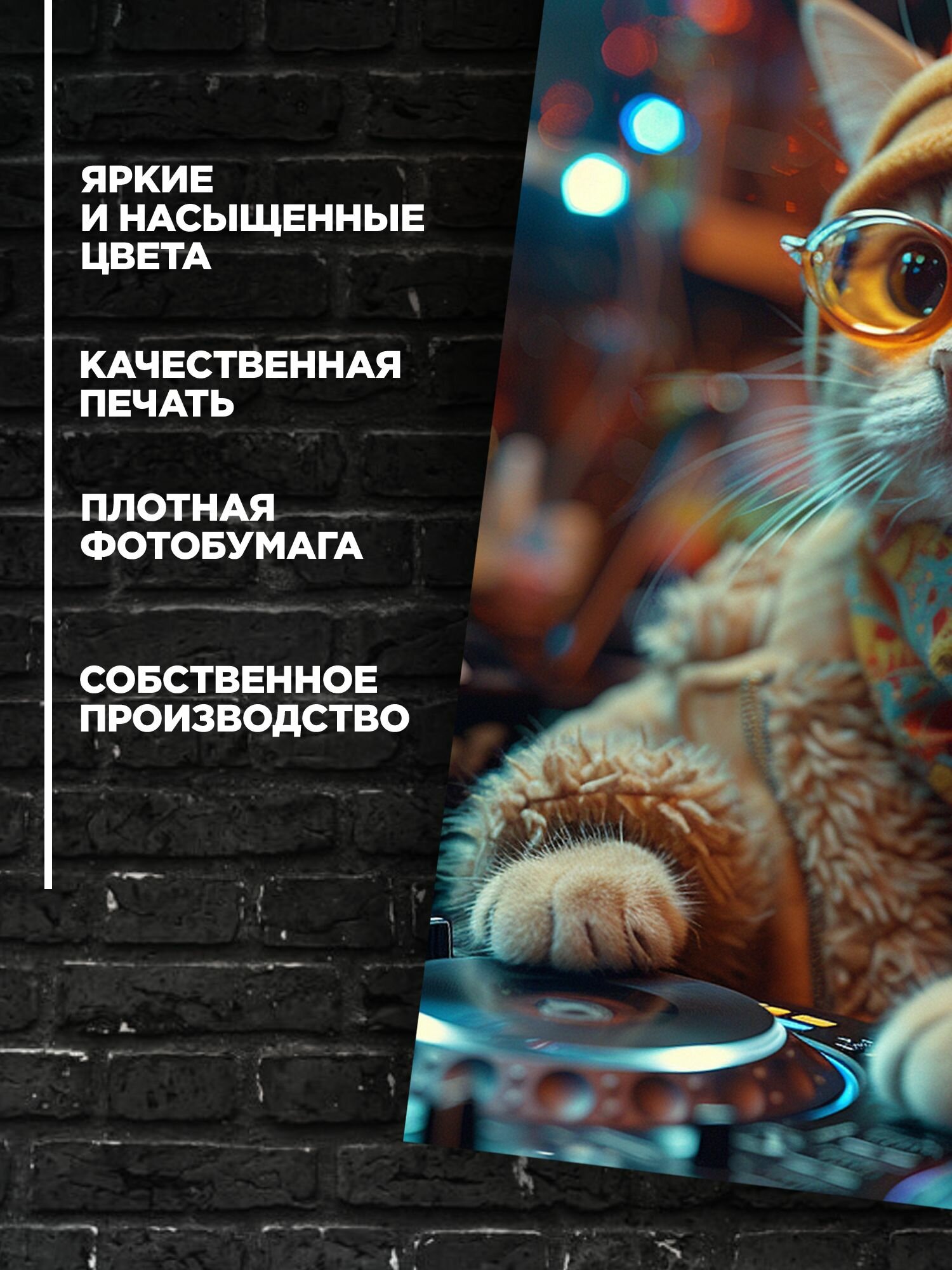 Постер Котики, Эстетика — фото 1