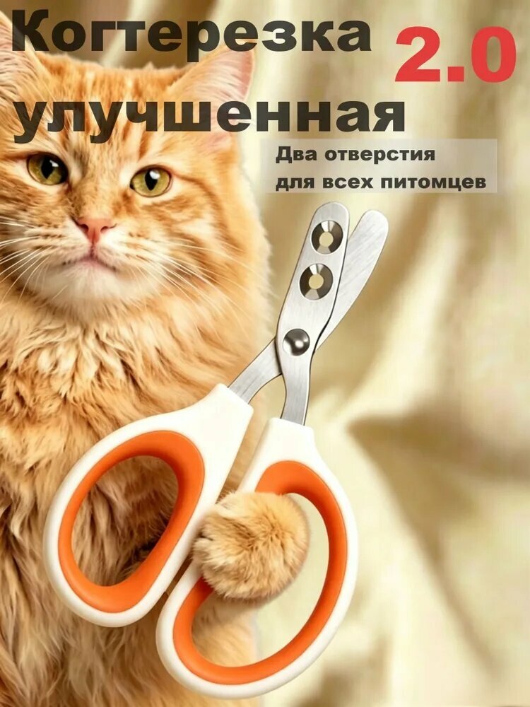 Ножницы для стрижки когтей питомцев оранжево-белого цвета, безопасный когтерез для кошек и собак