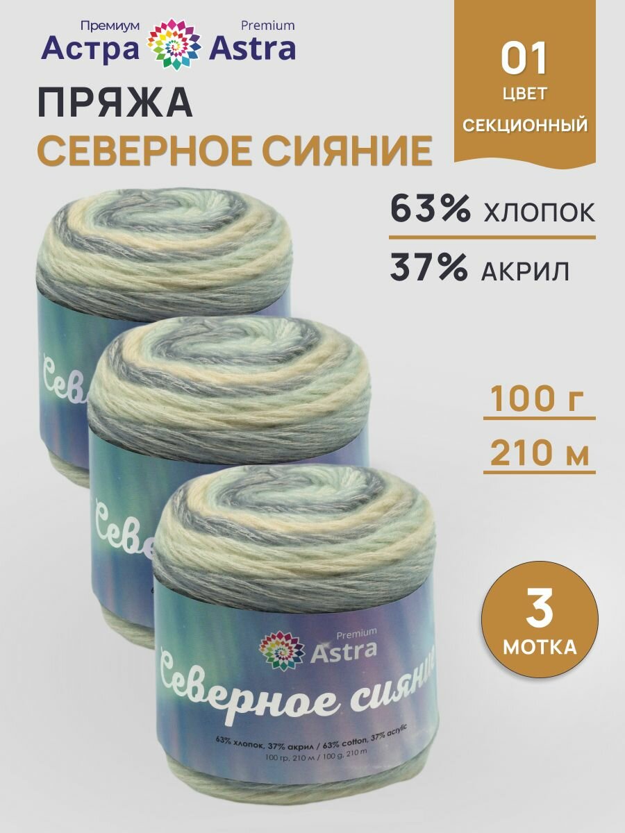 Пряжа для вязания Astra Premium 'Северное сияние' 100г, 210м (63% хлопок, 37% акрил) (01 секционный), 3 мотка