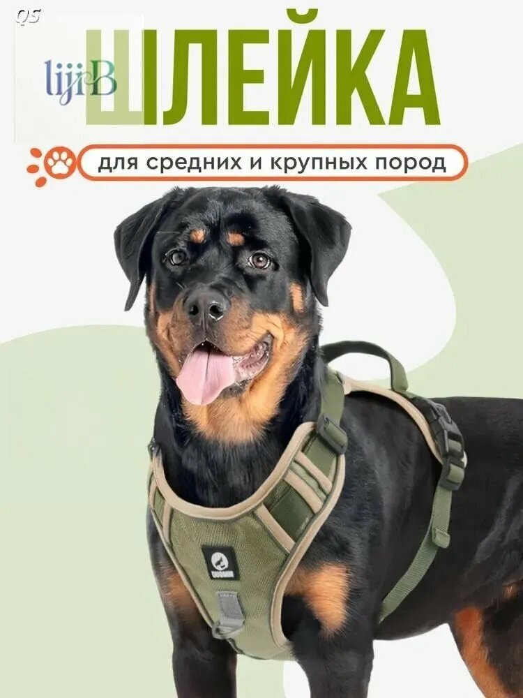 Шлейка для собак средних и крупных пород