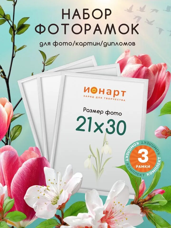 Рамка 21х30 А4 для фото, картин, постеров, белая, 3 шт.
