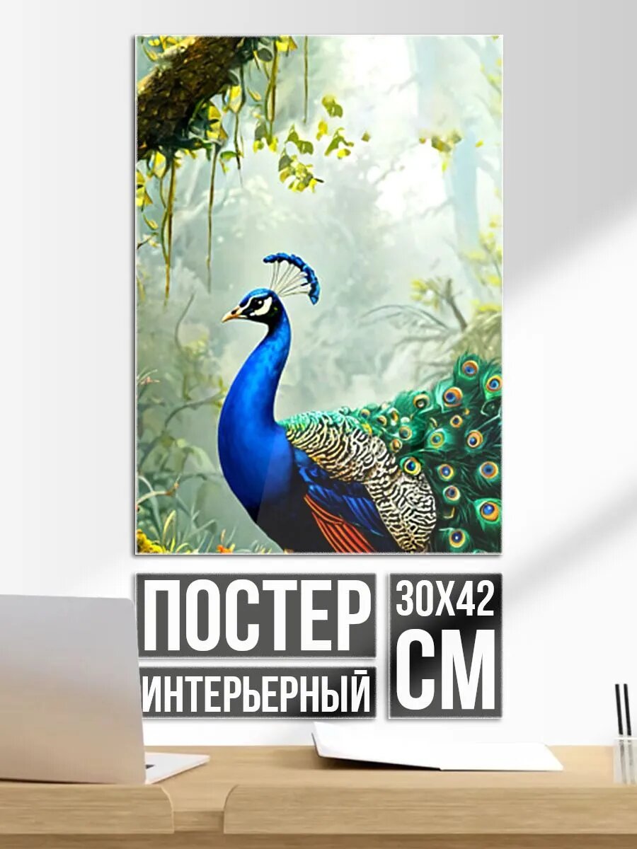 Постер на стену Павлин в природе
