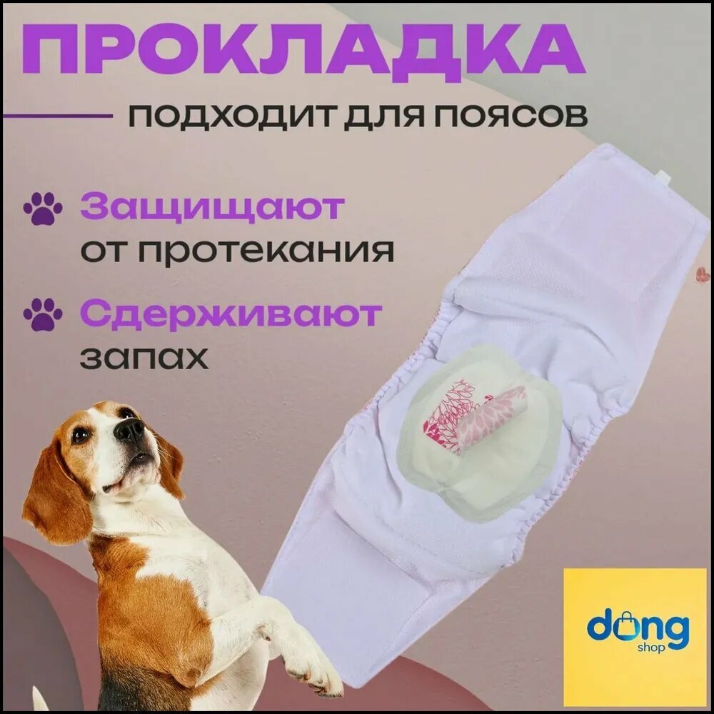 Подгузники для животных — фото 1