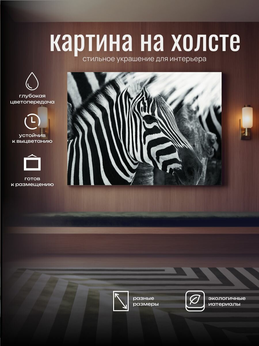 Картина на холсте Зебра 40x30 см