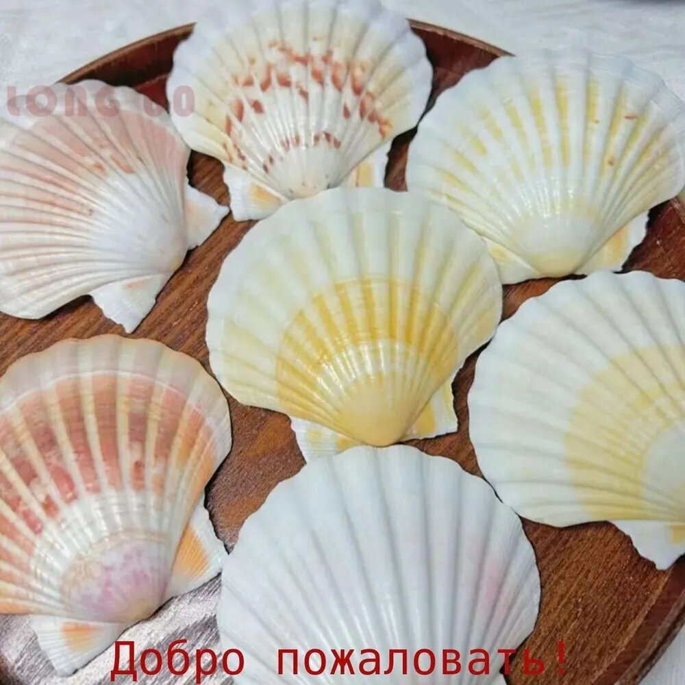 Декорация для аквариума — фото 1