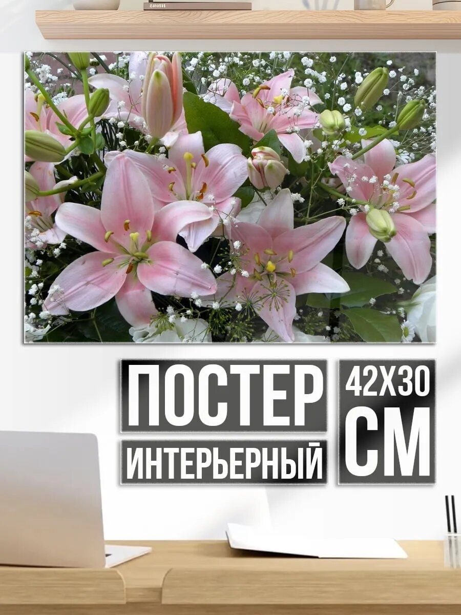 Плакат постер Нежные лилии в цветах