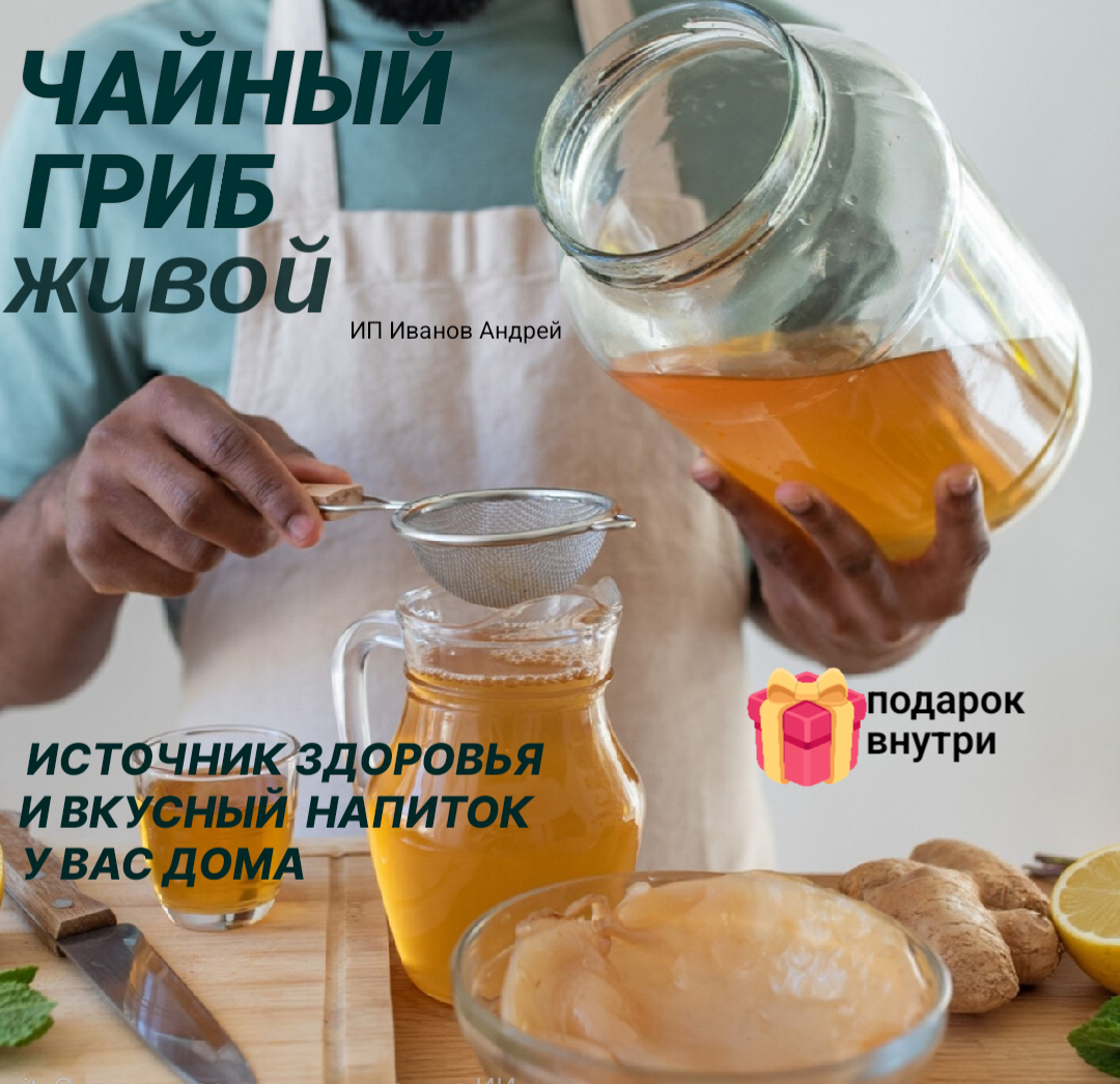 Чайный гриб, живая биокультура создающая полезный для здоровья напиток Комбуча