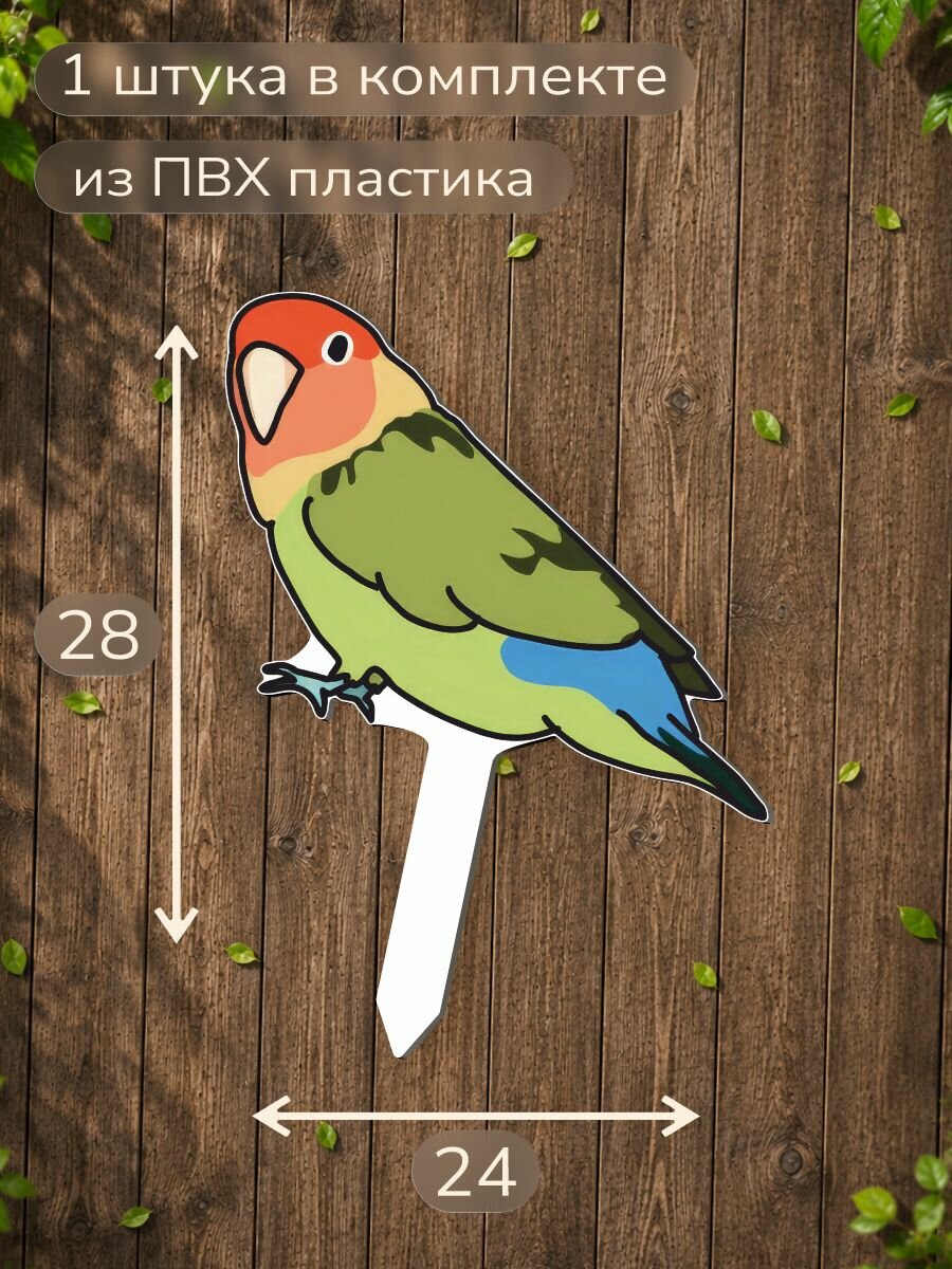 Фигурки для сада попугай - птица — фото 1