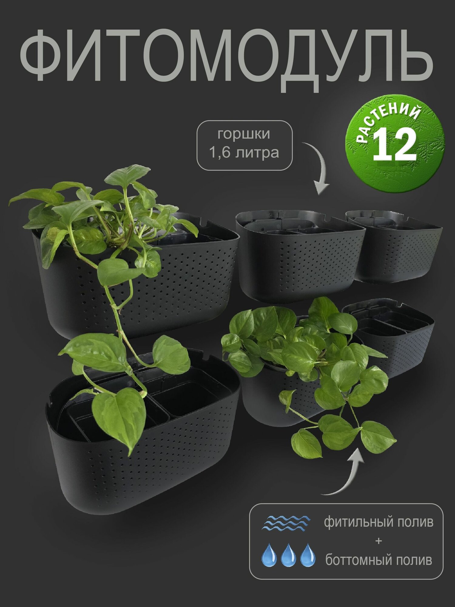 Фитомодуль BOXSAND-2 (34х18 см) набор 6 штук, с горшками 1,6 литра
