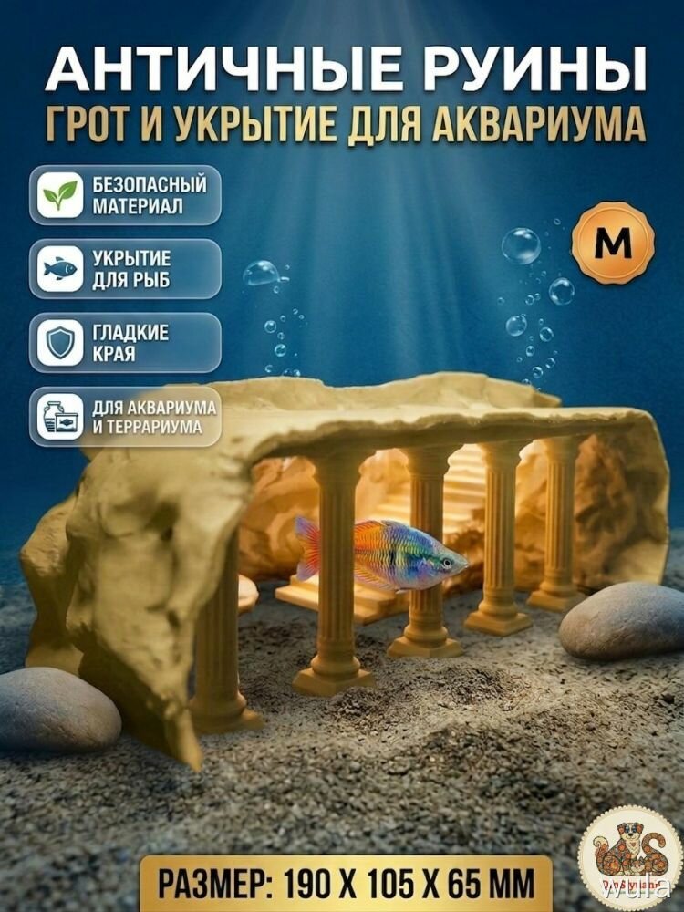 Укрытие для рыб в пещере Колизей