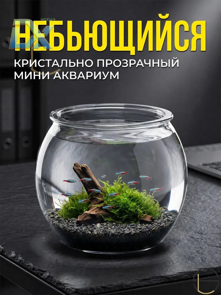 Настольный мини-аквариум шар, безопасный ПЭТ с эффектом стекла, для дома и офиса
