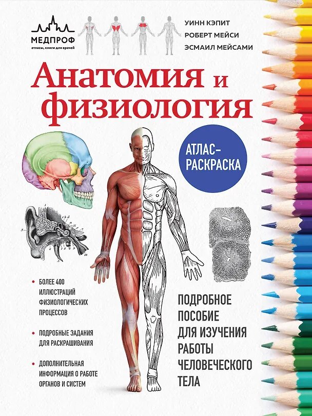 Анатомия и физиология. Атлас-раскраска