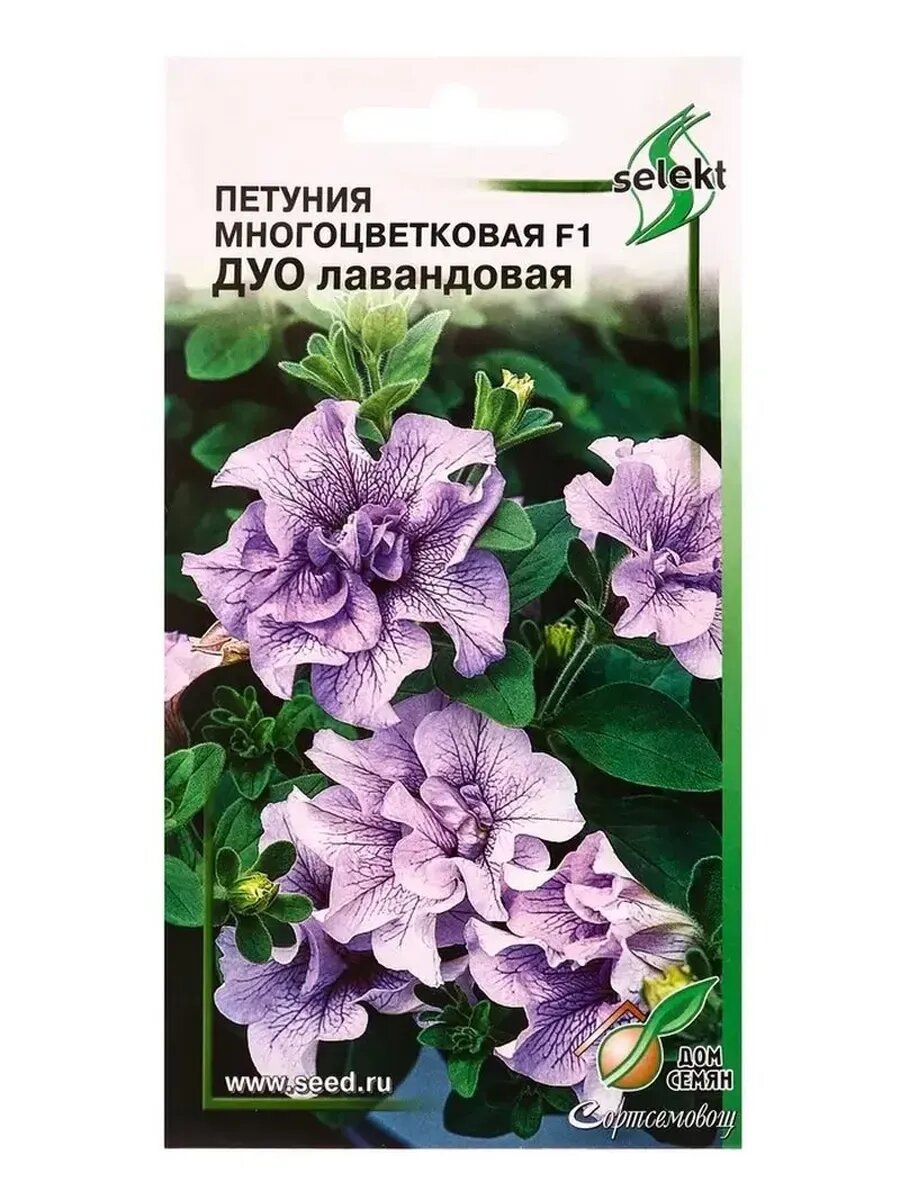 Цветущий набор семян петунии «Дуо» махровая
