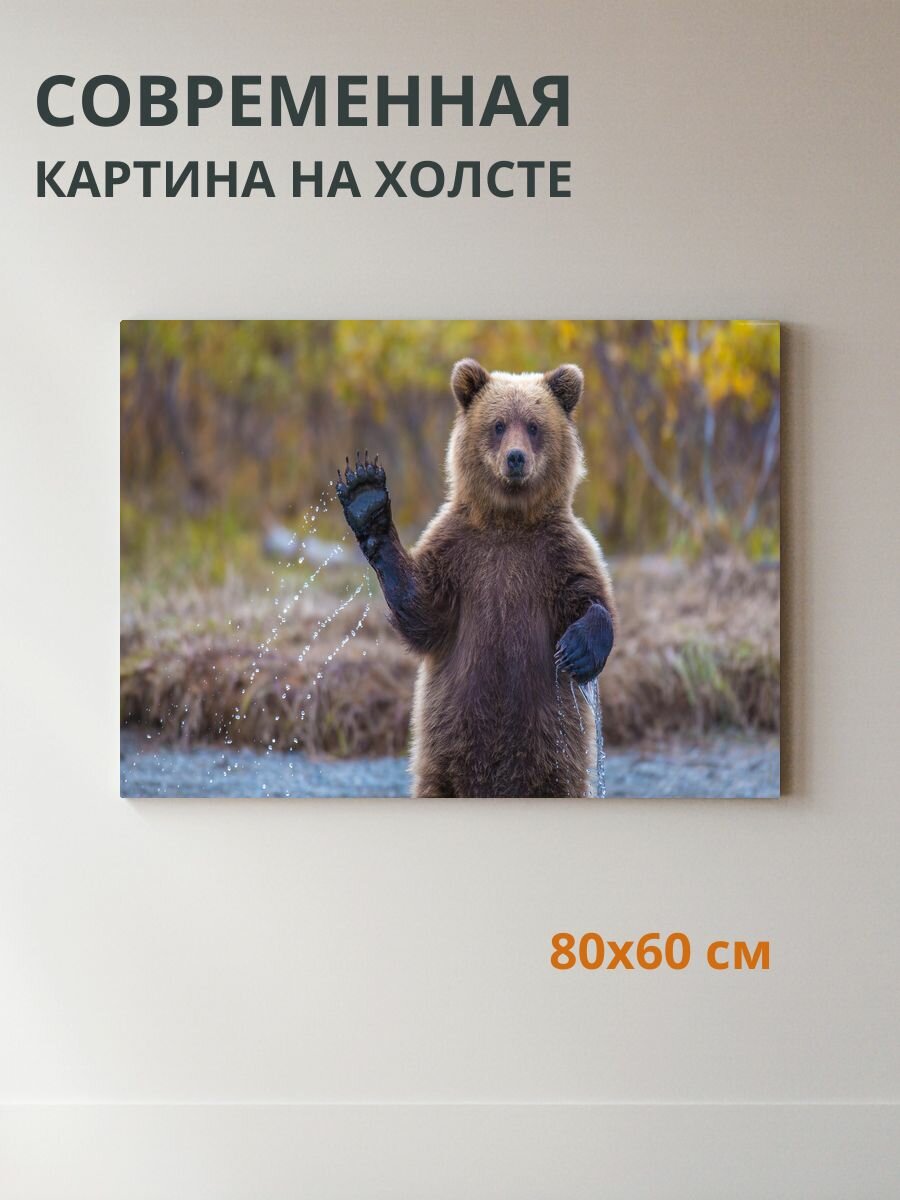 Картина на холсте Медведь машет лапой 80x60 см