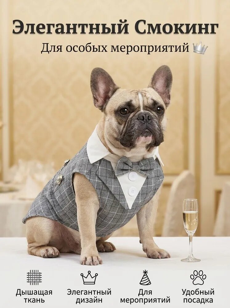 Свадебный костюм для собак, элегантный из полиэстера, дышащий на свадьбу, день рождения, хэллоуин XL, серый в клетку