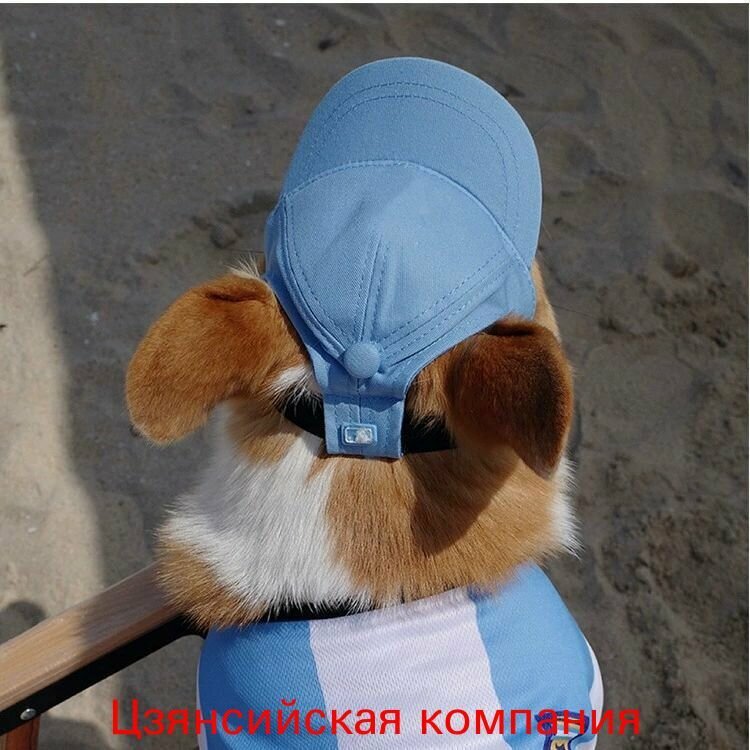 Корги/Тедди шапка для прогулок