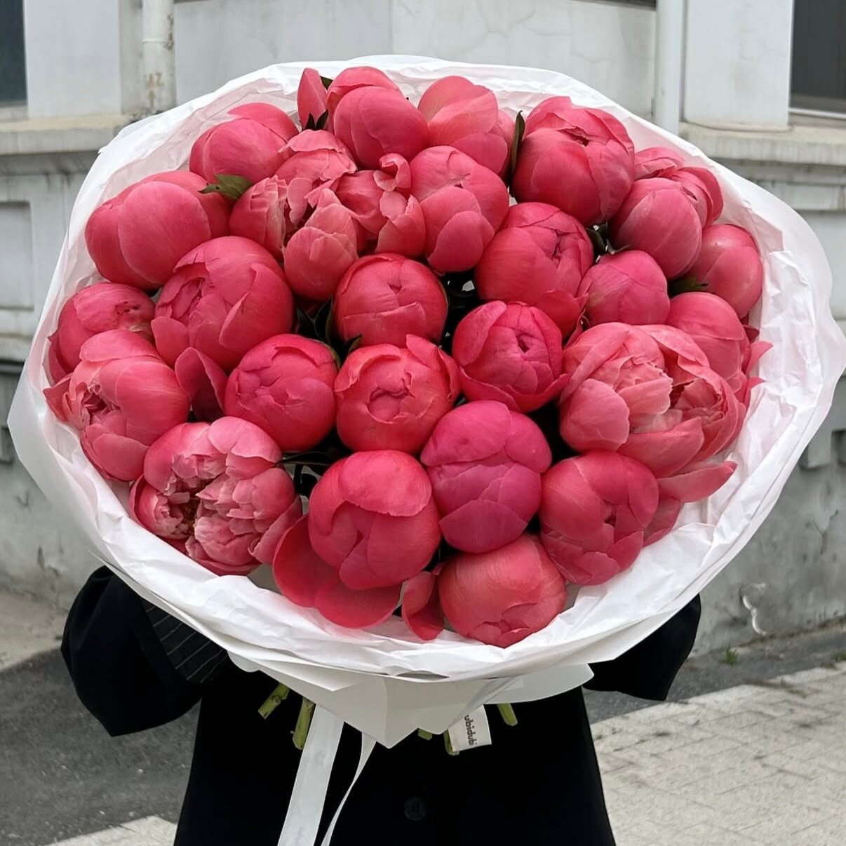 Букет из коралловых пионов 29 шт, красивый букет цветов, шикарный, премиум цветы, премиум букет