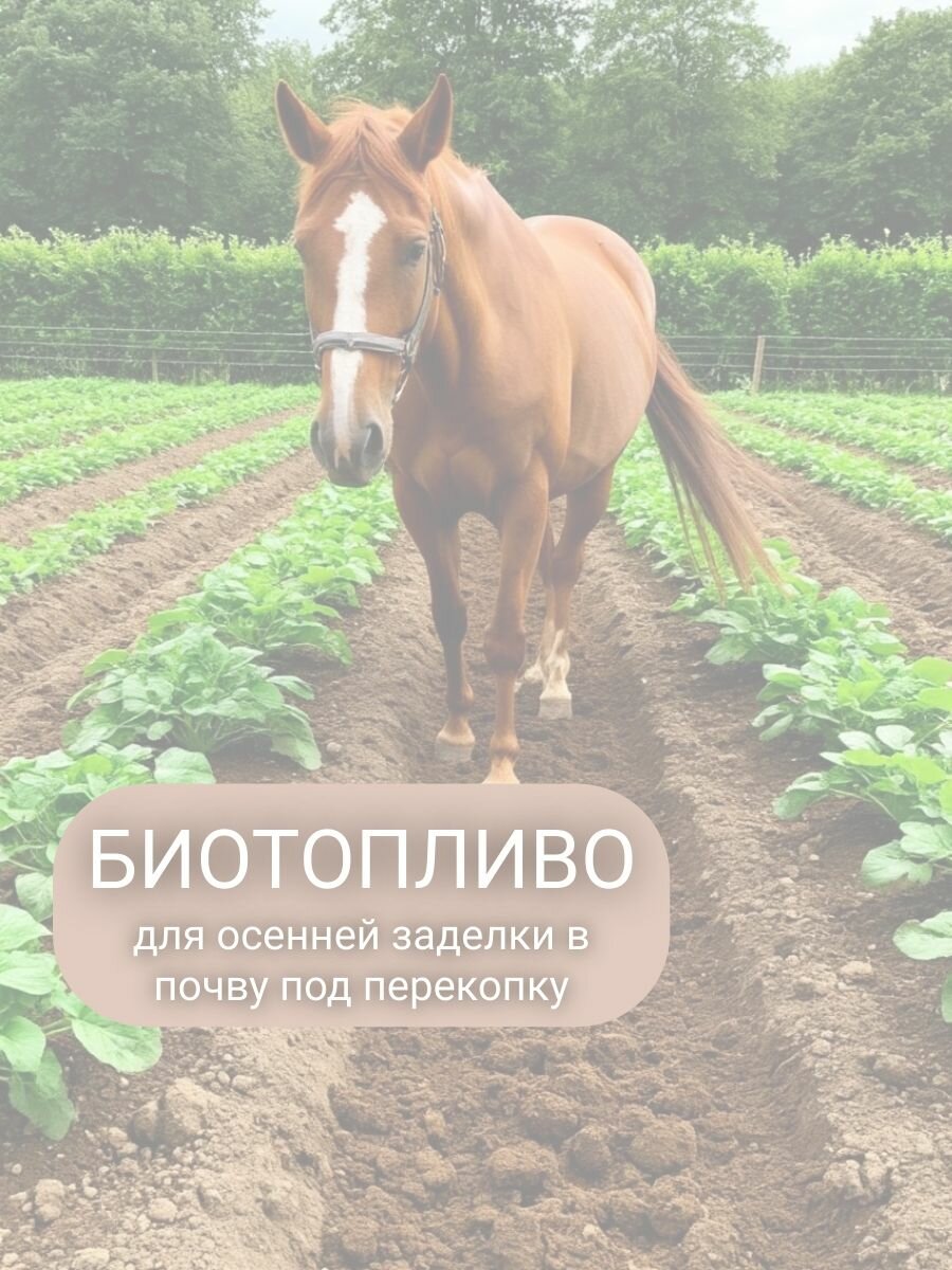 Конский навоз свежий в мешках 50 литров (удобрение для картофеля, огурцов, арбузов и других) — фото 1