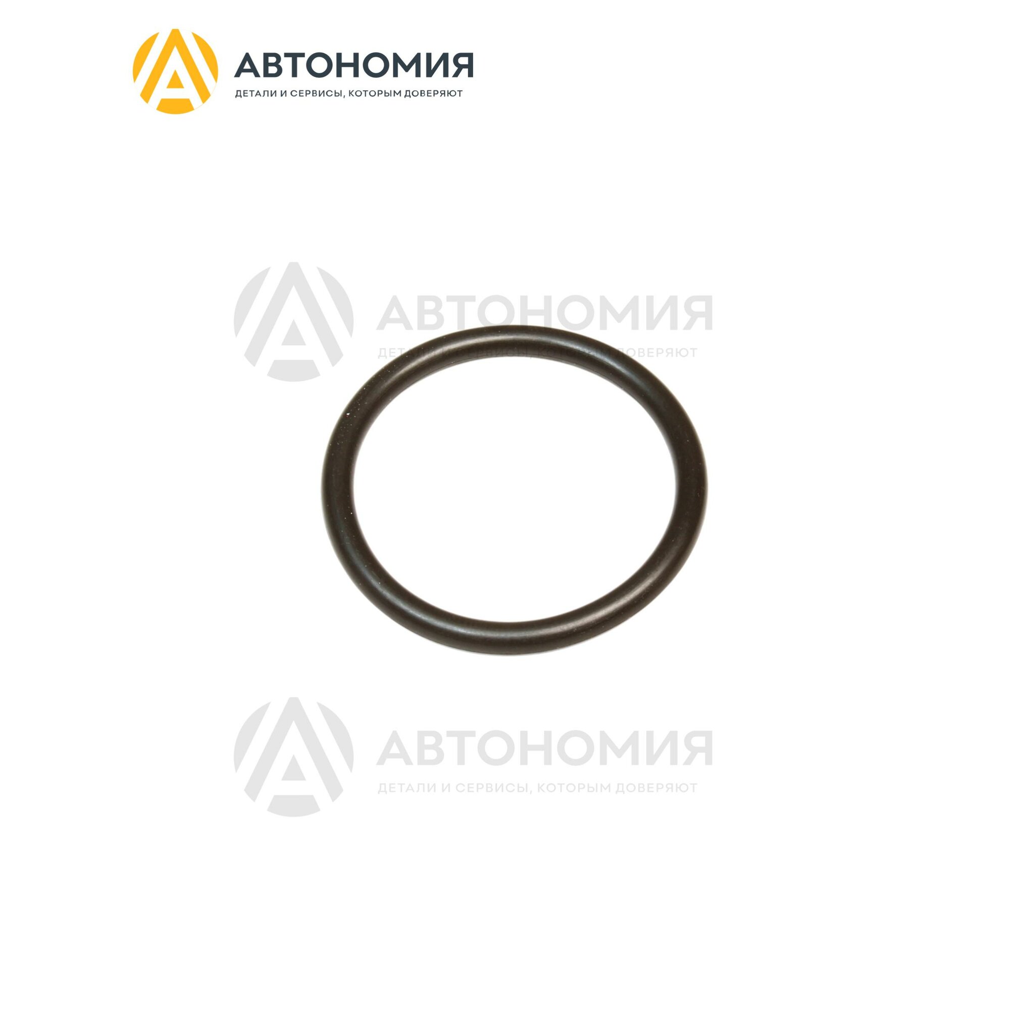 Кольцо уплотнительное системы охлаждения Volvo 31109233