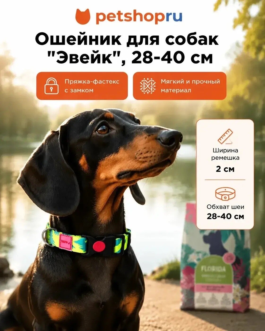 Ошейник из стропы "Эвэйк"