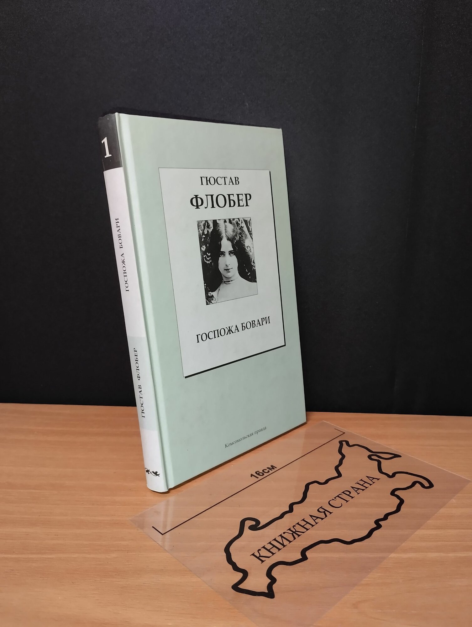 Госпожа Бовари. Том 1. Гюстав Флобер. 2007