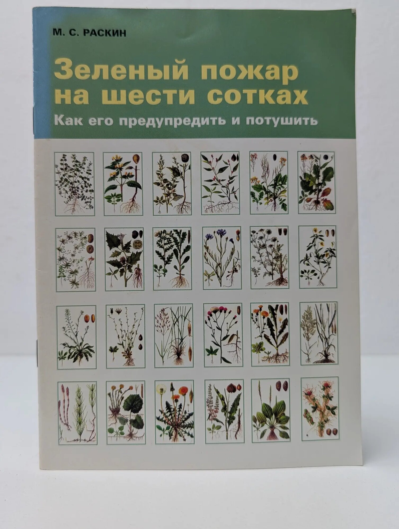Зеленый пожар на шести сотках. Как его предупредить и потушить Раскин М. С. 1995