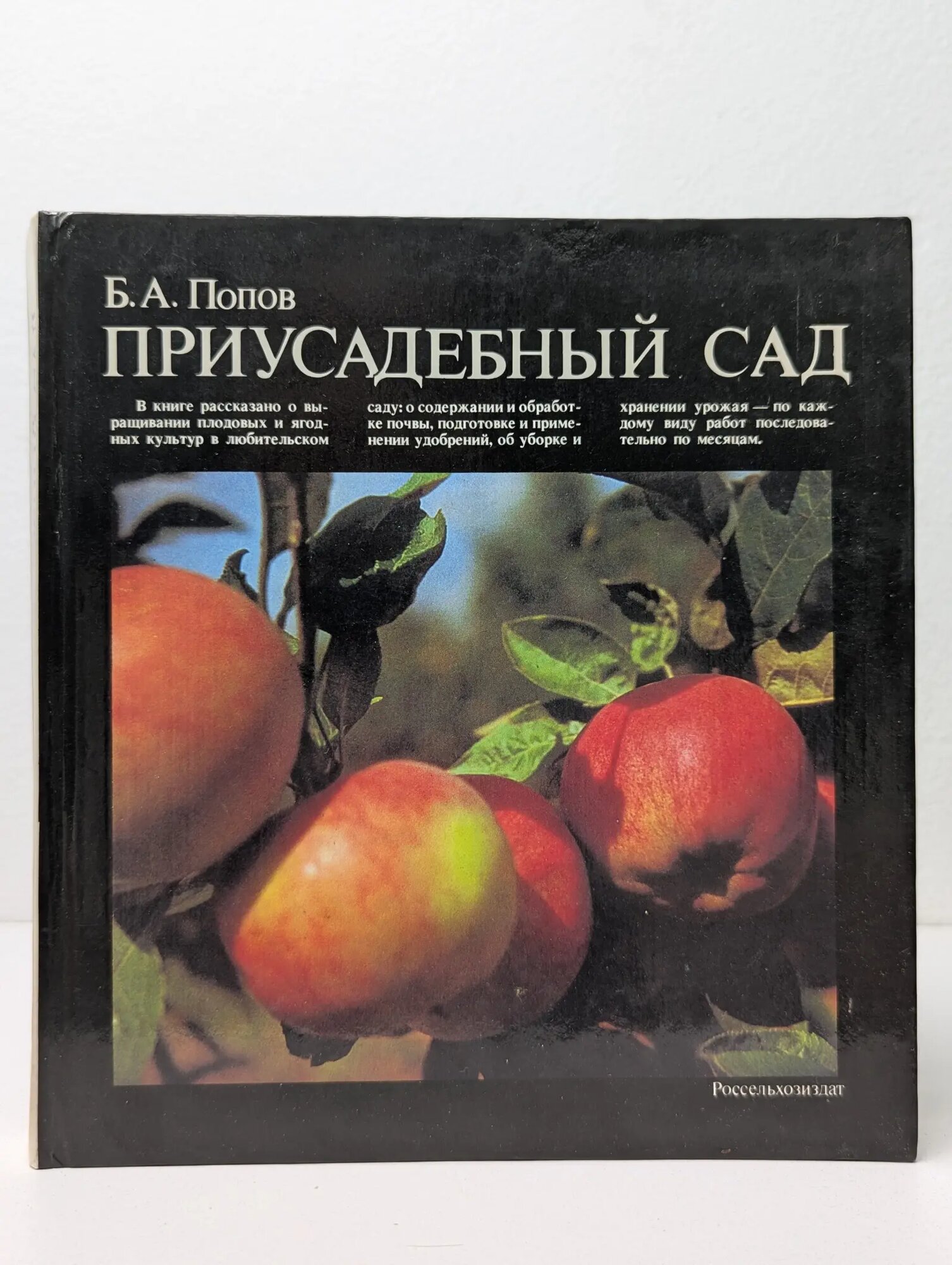 Приусадебный сад Попов Борис Александрович 1986