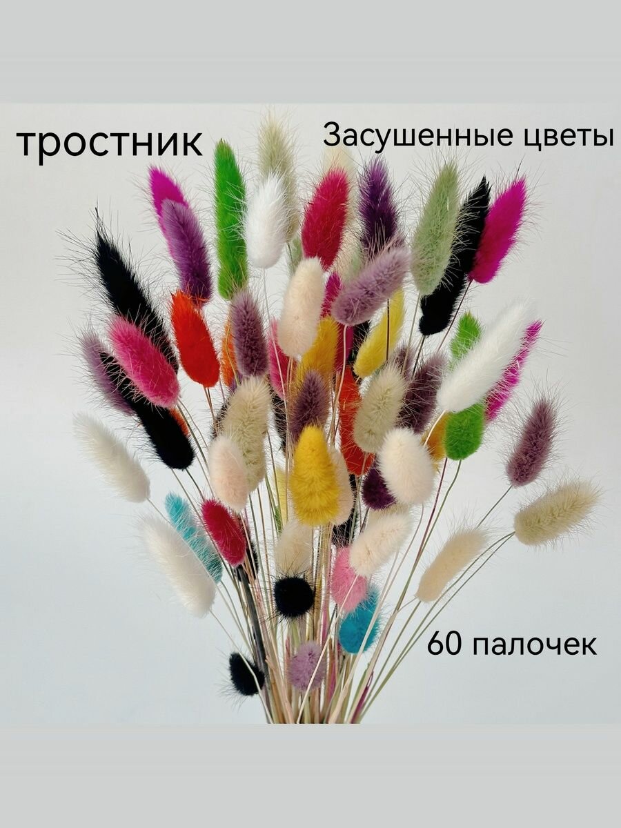 Сухоцветы, 60 шт