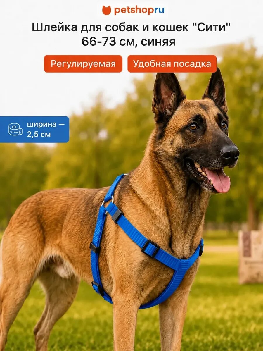 Yami Yami амуниция Шлейка Сити L синяя 25мм, ОШ 65-70см, ОГ 66-73см
