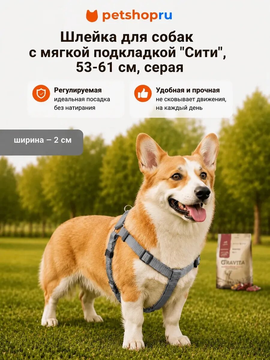 Yami-Yami шлейка "Сити" с мягкой подкладкой, стальная, S 20мм, ОШ 51-55см, ОГ 53-61см