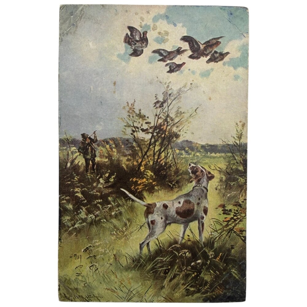 Почтовая открытка "Охота на пернатую дичь с пойнтером" 1900-1915 гг. Германская Империя